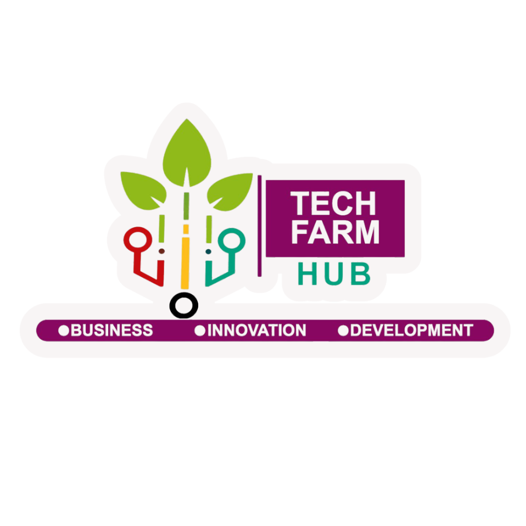 The Team - TECHFARM Hub